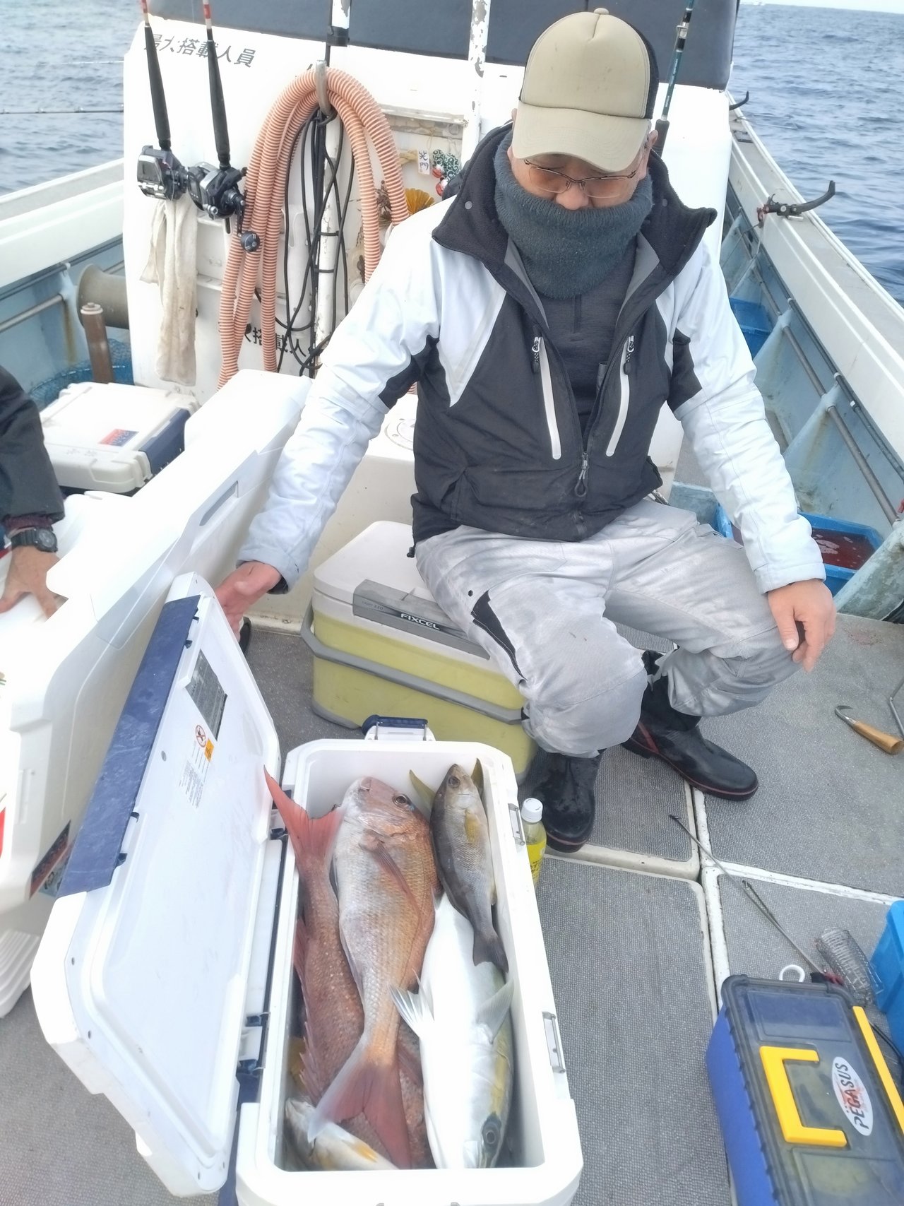 メダイの釣果｜2025年1月31日｜明石丸（福岡県/神湊港）｜＠ベリー釣船予約
