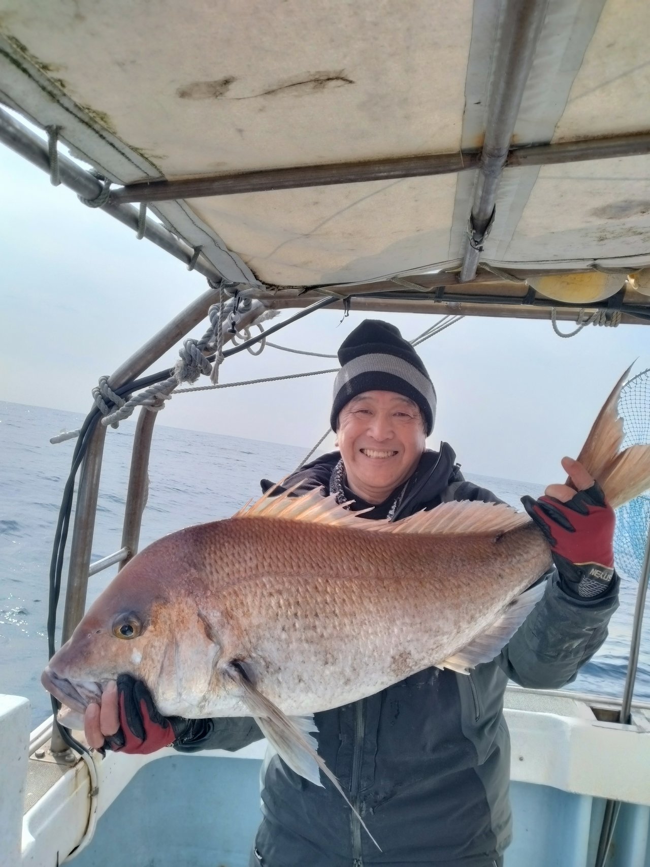 メダイの釣果｜2025年1月31日｜明石丸（福岡県/神湊港）｜＠ベリー釣船予約